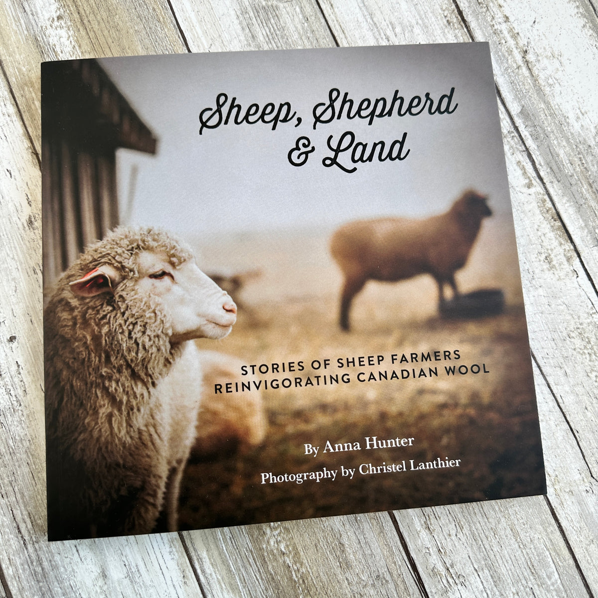 Sheep, Shepherd & Land Book | Grocery Girls Knit